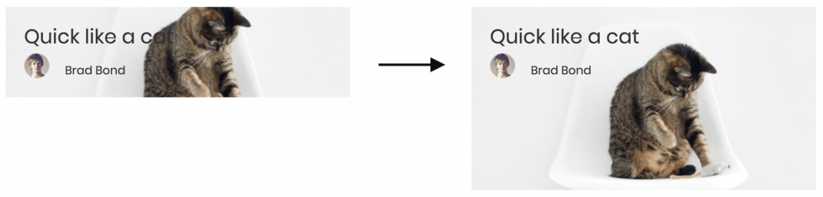 Padding vs Margin Explained - Visual Composer Website Builder
